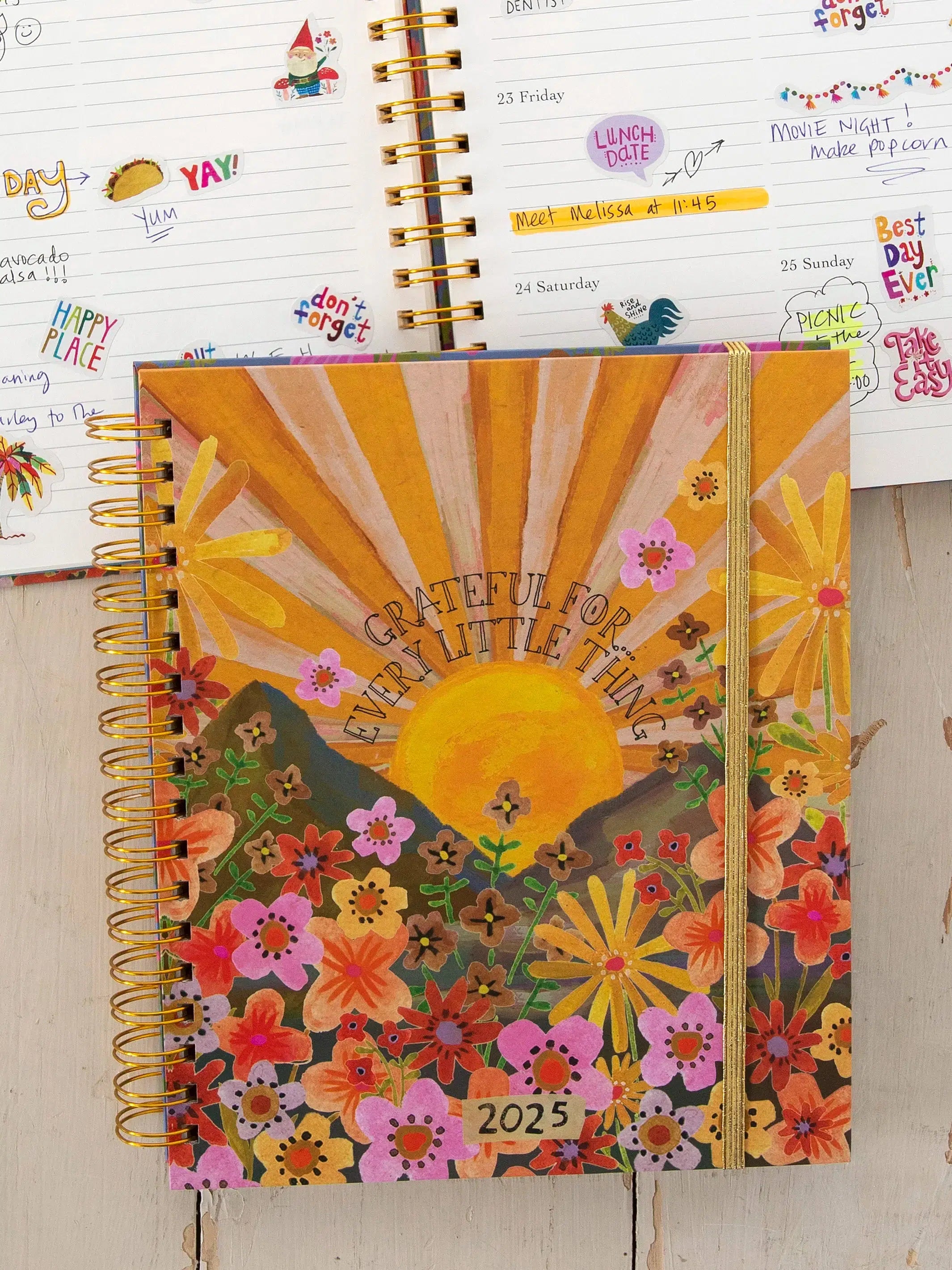 2024-2025 17 Month Planner